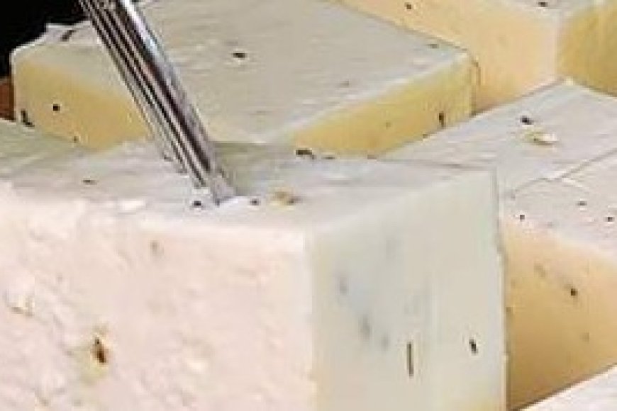 Homemade Cheese Recipe - Varient - News Magazine