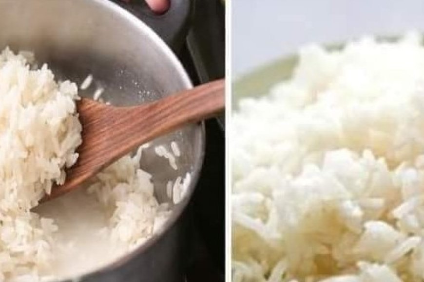 typical mistake to cook rice - Varient - News Magazine