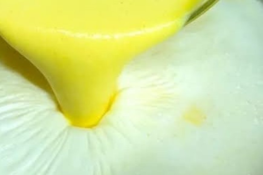 Make 1 kg of Cheese from 2 Liters of Milk: No Vinegar, No Citric Acid ...